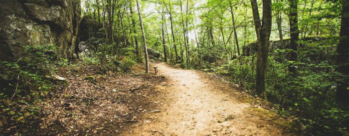 Walking Trails Near Me - The Great Way to Find Walking Trails