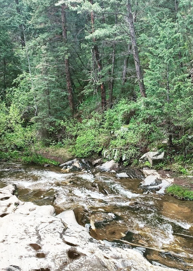 Beaver Brook and Chavez Trail Loop - Trails Near Me