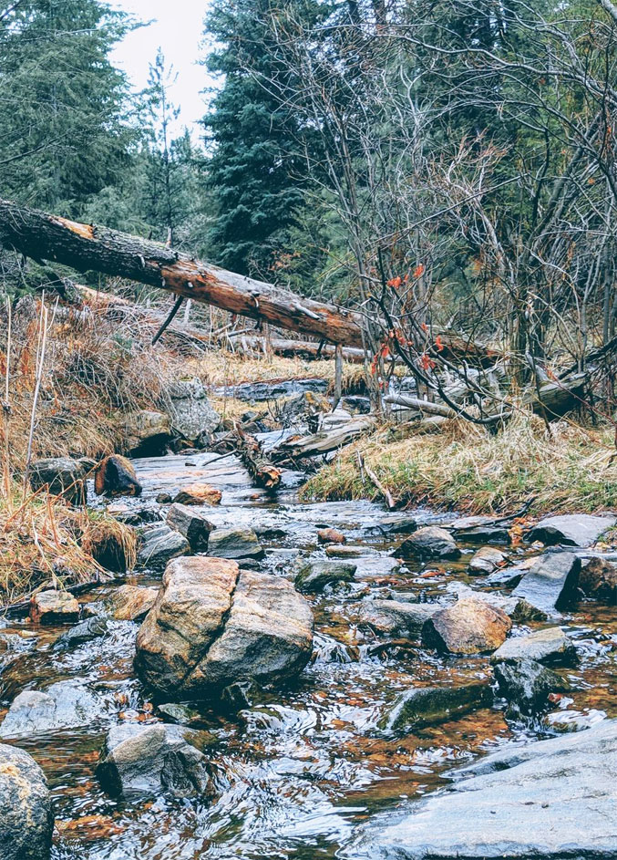 Beaver Brook and Chavez Trail Loop - Trails Near Me