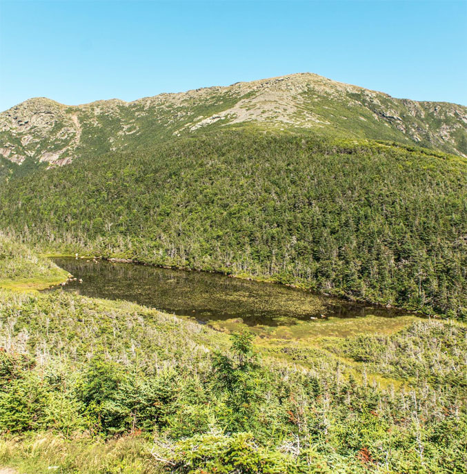 Mount Lafayette and Franconia Ridge Trail Loop - Trails Near Me
