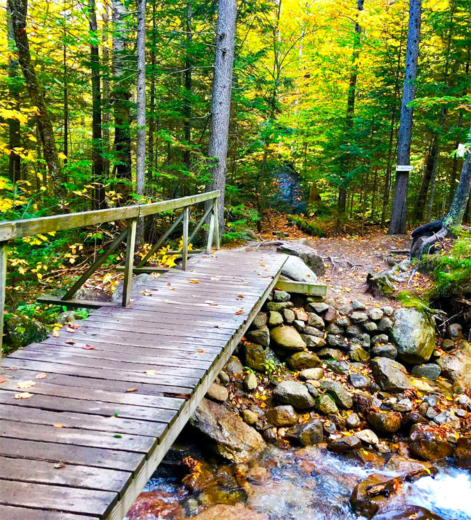 Mount Lafayette and Franconia Ridge Trail Loop - Trails Near Me