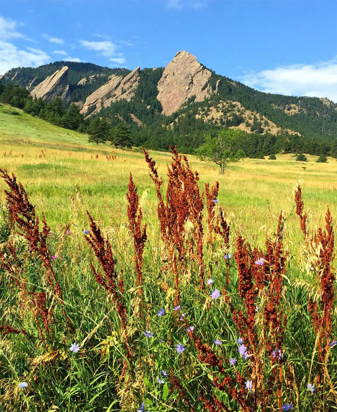Royal Arch Trail - Trails Near Me