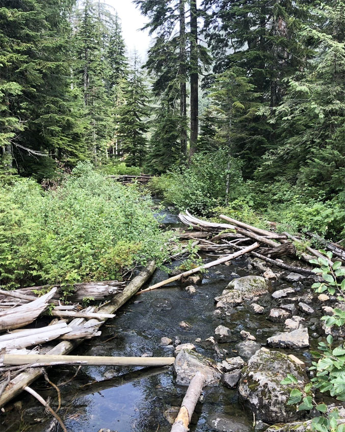 Lake 22 Trail - Trails Near Me