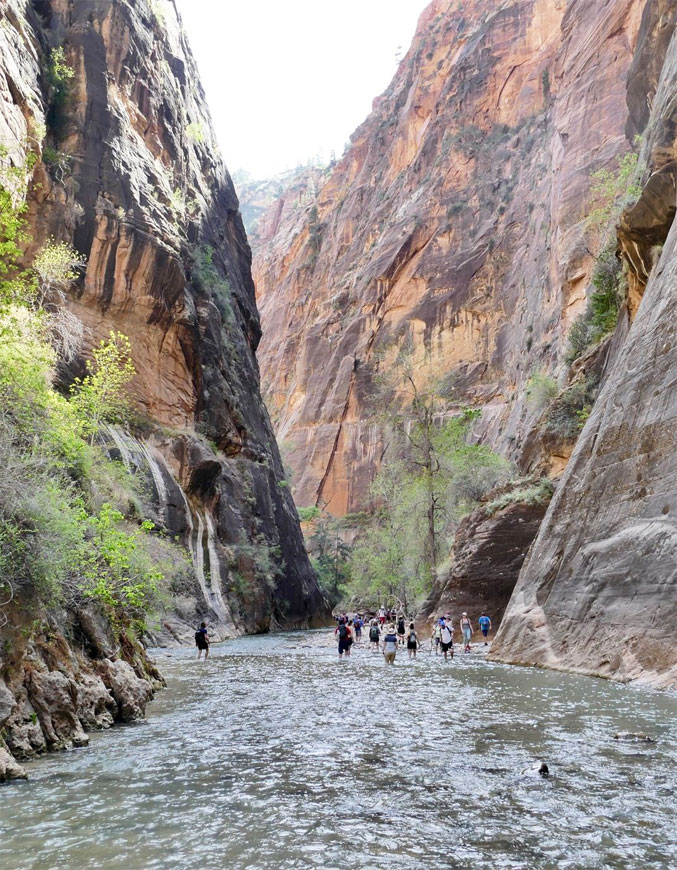 Zion Narrows Riverside Walk - Trails Near Me
