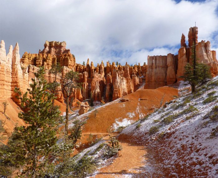 Navajo Loop and Queen's Garden Trail - Trails Near Me